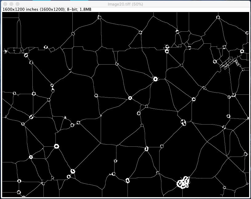 ImageJ cell counting - Image Analysis - Image.sc Forum