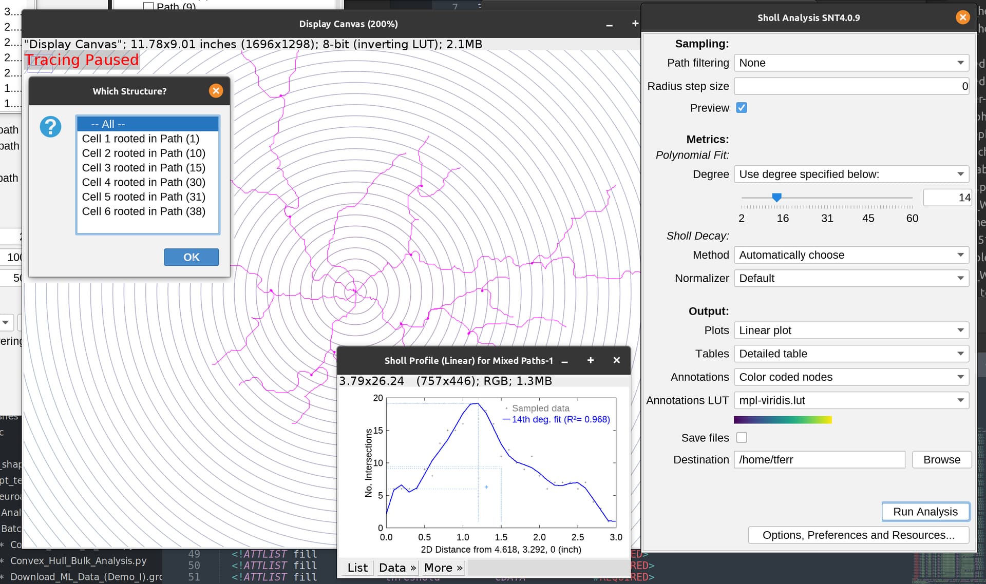 'No valid profile retrieved' Fiji ImageJ Sholl Analysis - Image Analysis - Image.sc Forum