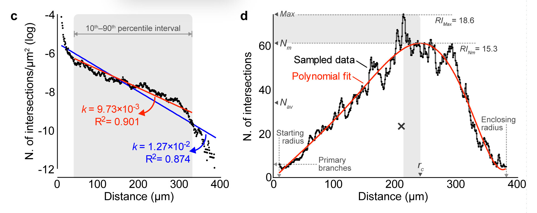 Sholl Analysis Directly from Images: Branching Index is division-by-zero - Image Analysis ...
