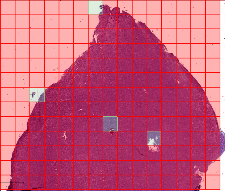 Exporting Labelled Annotations as PNG Problems - Usage & Issues - Image.sc Forum