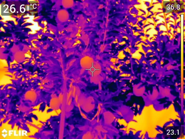 Temperature data from pixel intensity - Usage & Issues - Image.sc Forum