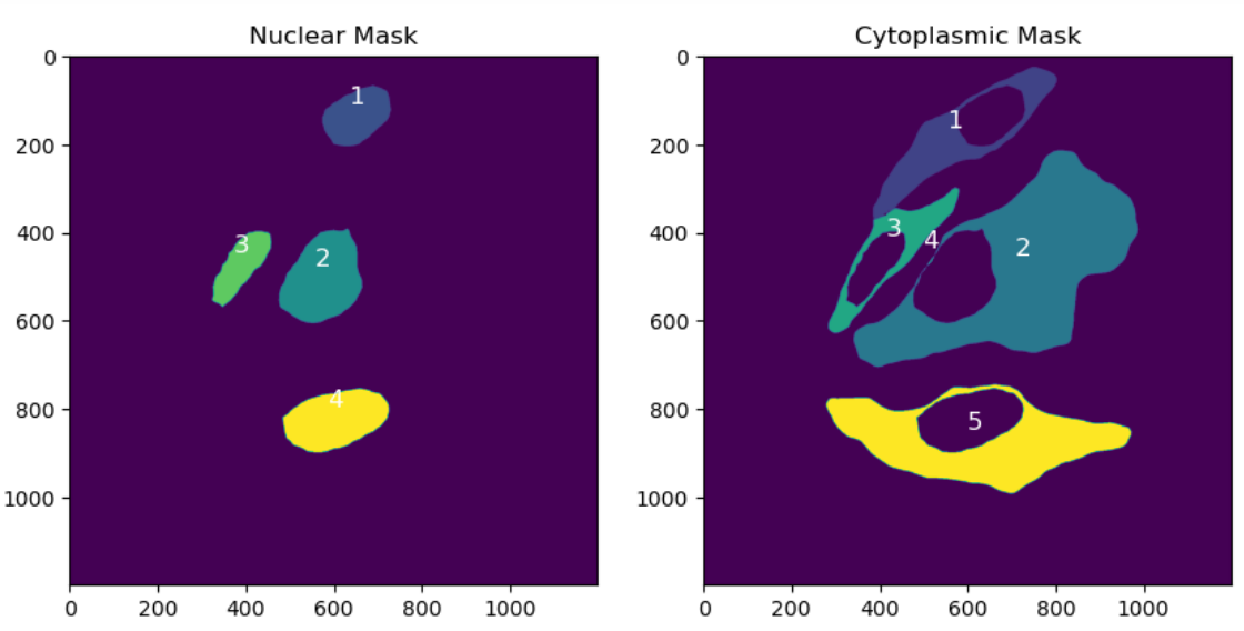 Cellpose Segmentation In Jupyter Notebook Image Analysis Image Sc Forum
