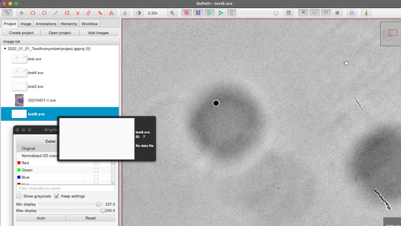 Anonymize svs file - Image Analysis - Image.sc Forum