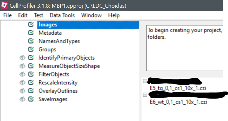 Problem extracting metadata from CZI files - Usage & Issues - Image.sc Forum