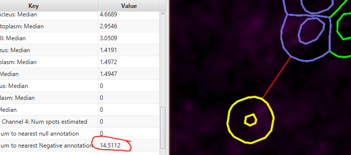 Qupath distance between annotations - Image Analysis - Image.sc Forum