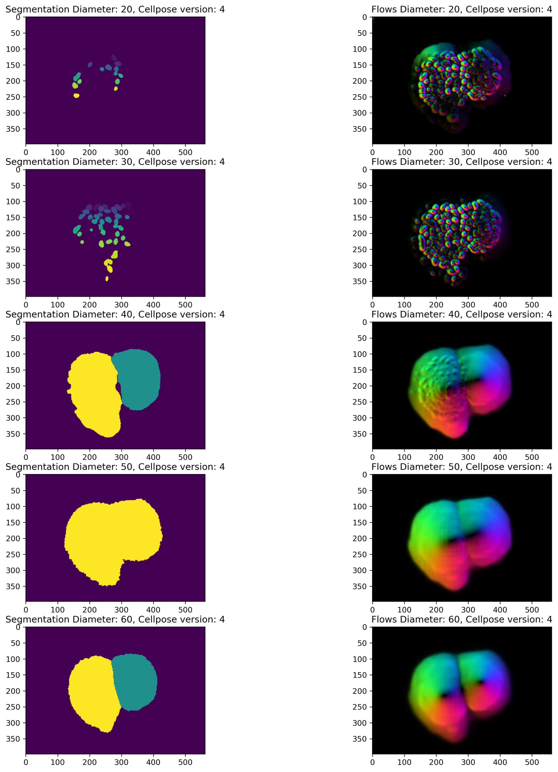 Can cellpose-sam segment large biofilm object from image? - Usage & Issues - Image.sc Forum