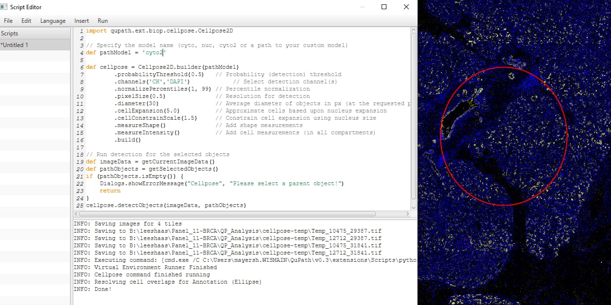 Cellpose in QuPath - QuPath Extension Cellpose - Announcements - Image.sc Forum