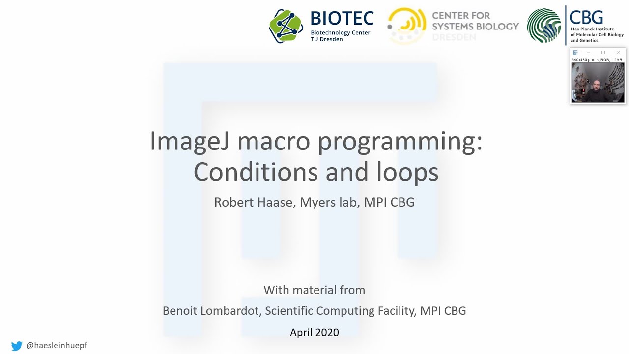 Batch Conversion ImageJ - Image Analysis - Image.sc Forum