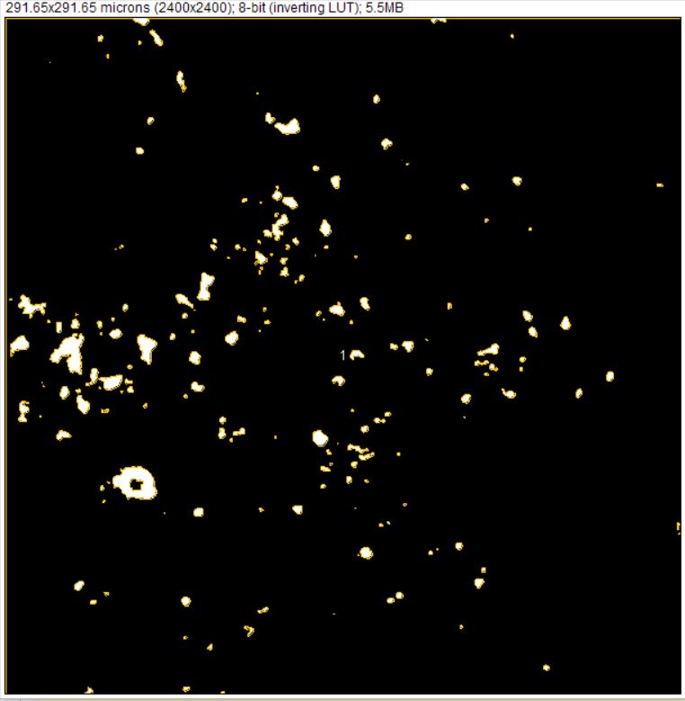 FIJI how to turned merged image into 2D image for use in Labkit for segmentation - Image ...