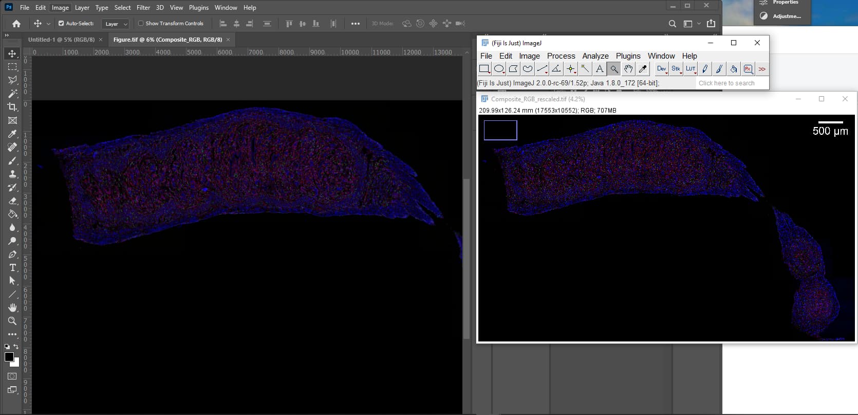 ImageJ and Photoshop colors differ - Usage & Issues - Image.sc Forum
