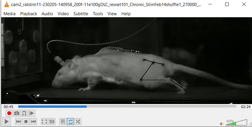 Deeplabcut.create_labeled_video not applying labels even though video is analyzed - Image ...