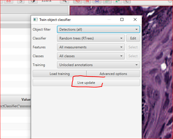 If There Is A Way To Use The Train Object Classifier Feature But In A