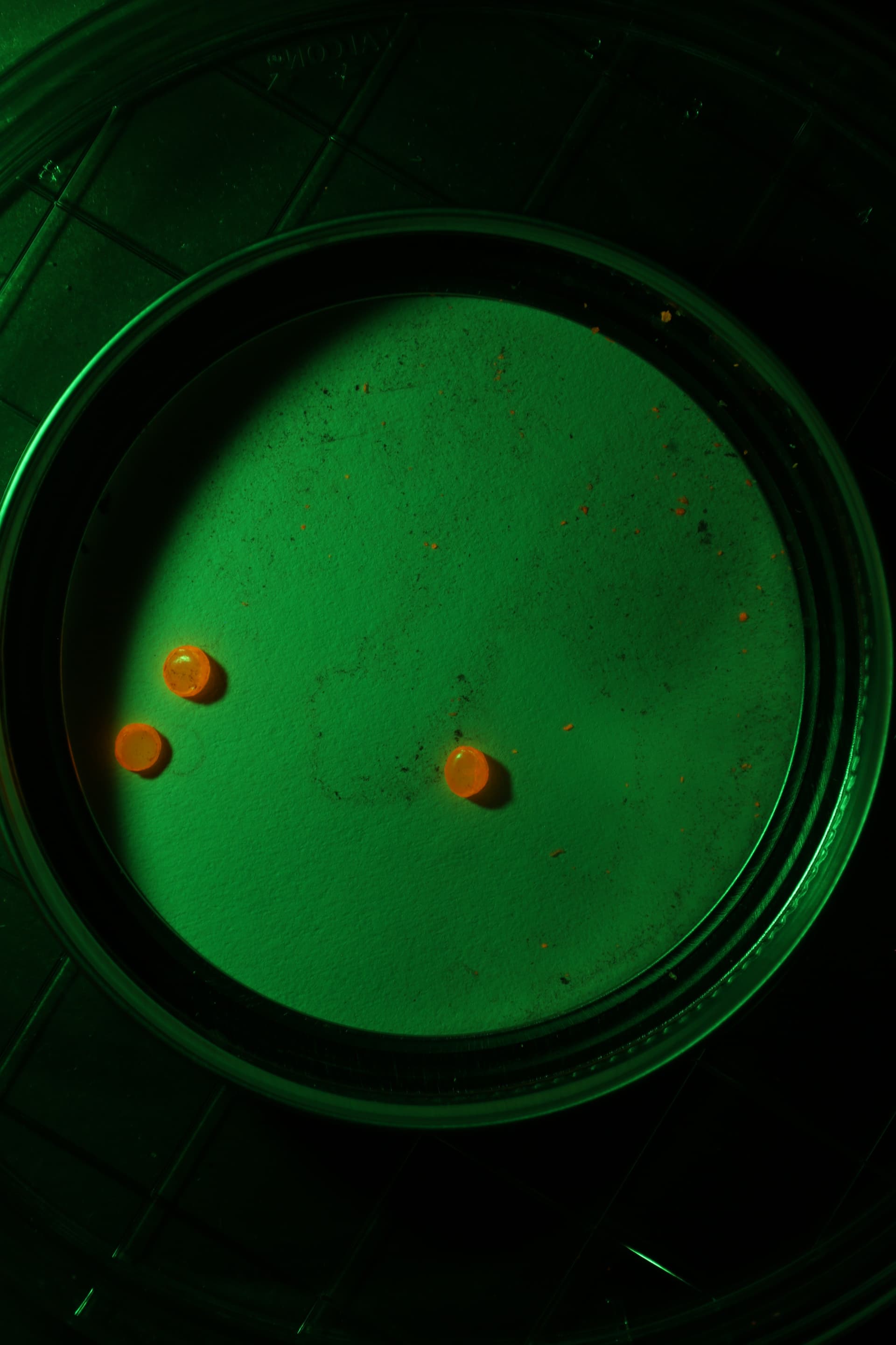 How do I create individual color thresholds for image stacks and ...