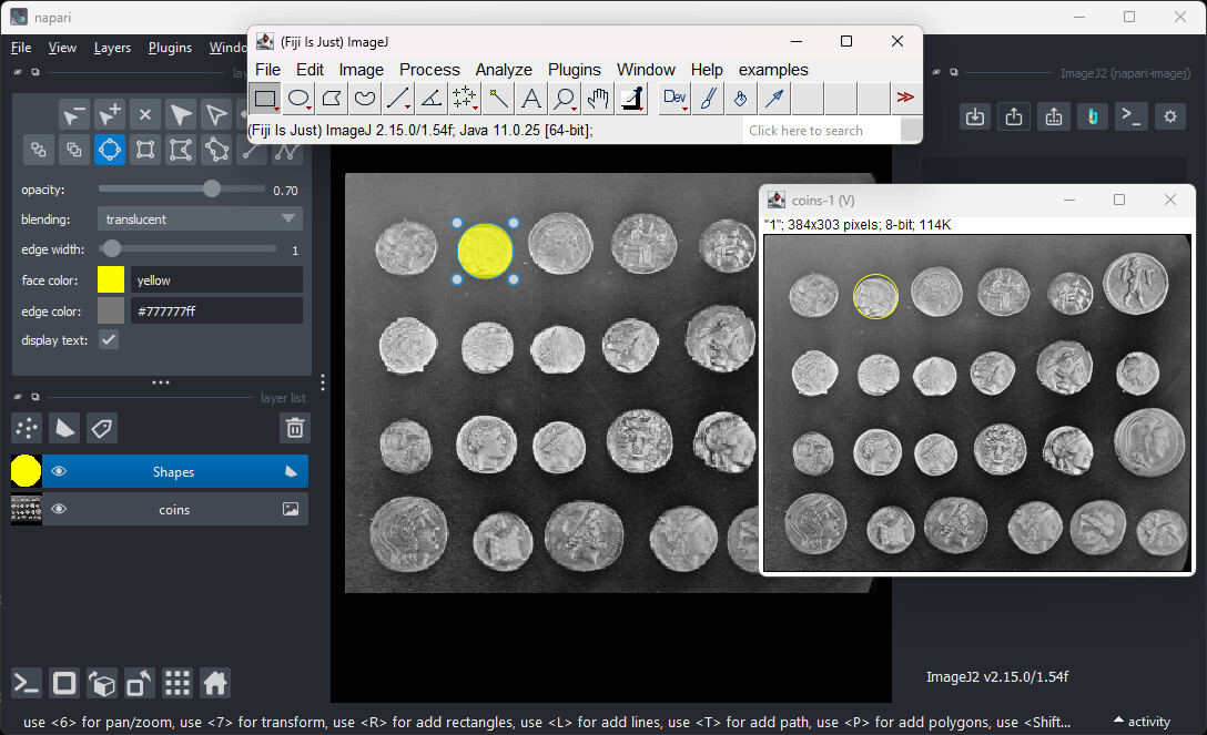 Announcing napari-imagej v0.2.0 - Announcements - Image.sc Forum