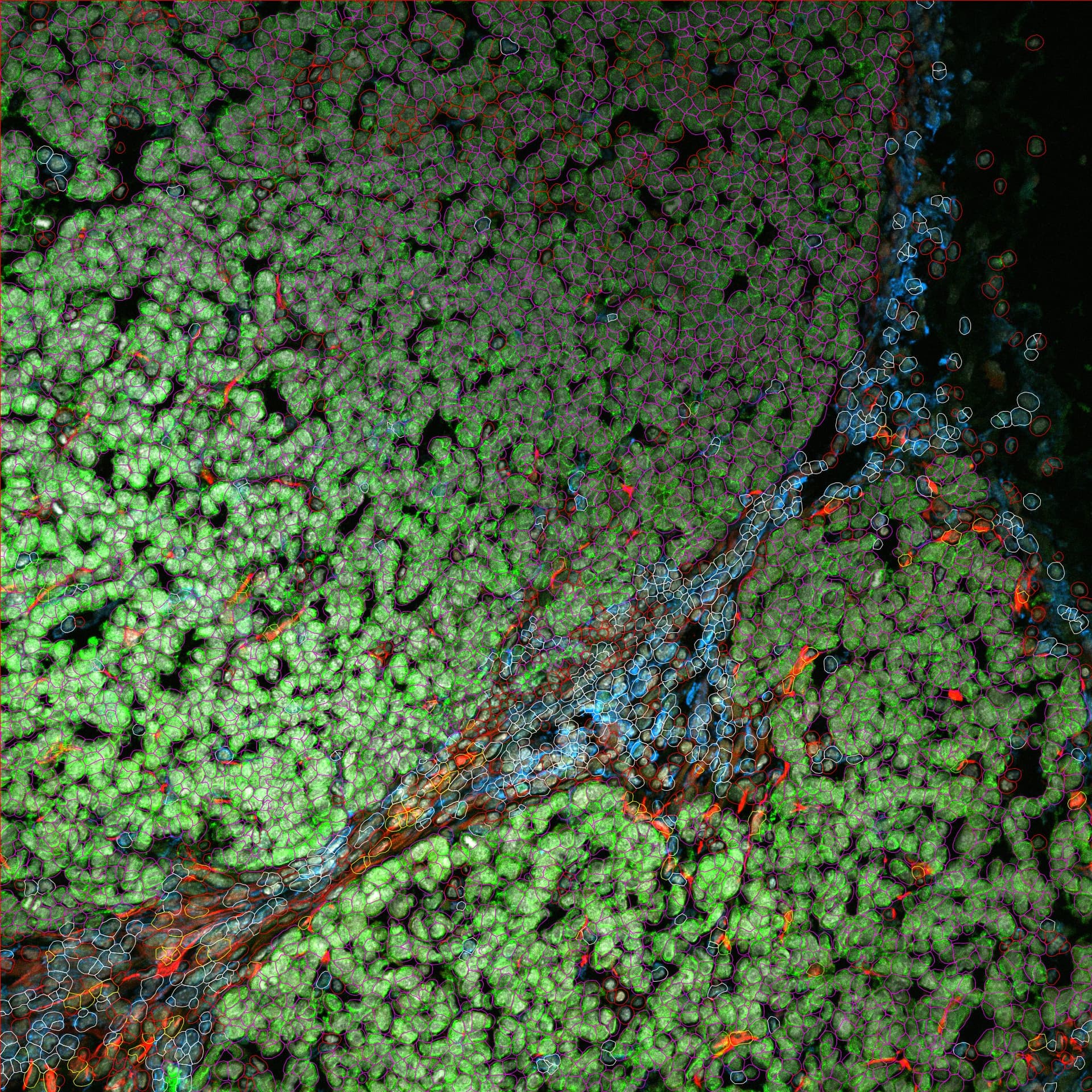 Brightness and contrast adjusting using FIJI macros, while keeping ...