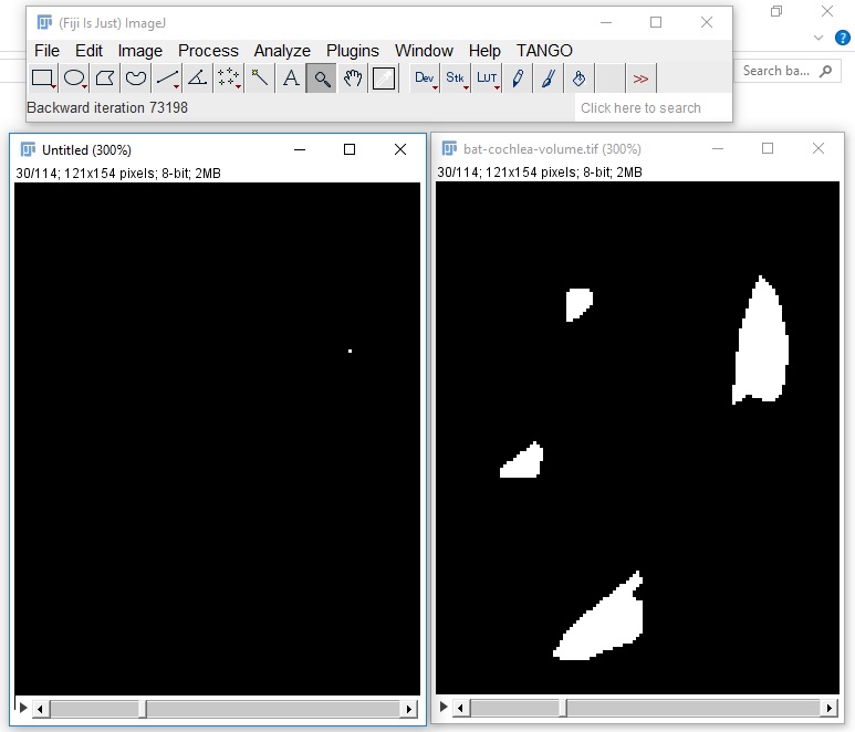 3D geodesic distance transformation on MorphoLibJ - Image Analysis - Image.sc Forum