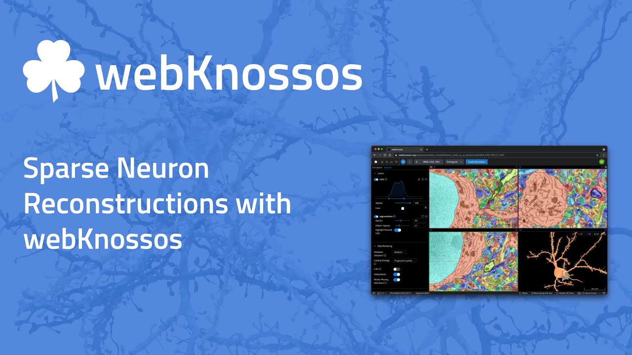 webKnossos Tutorial: Sparse Neuron Reconstruction - Blog Posts - Image.sc Forum