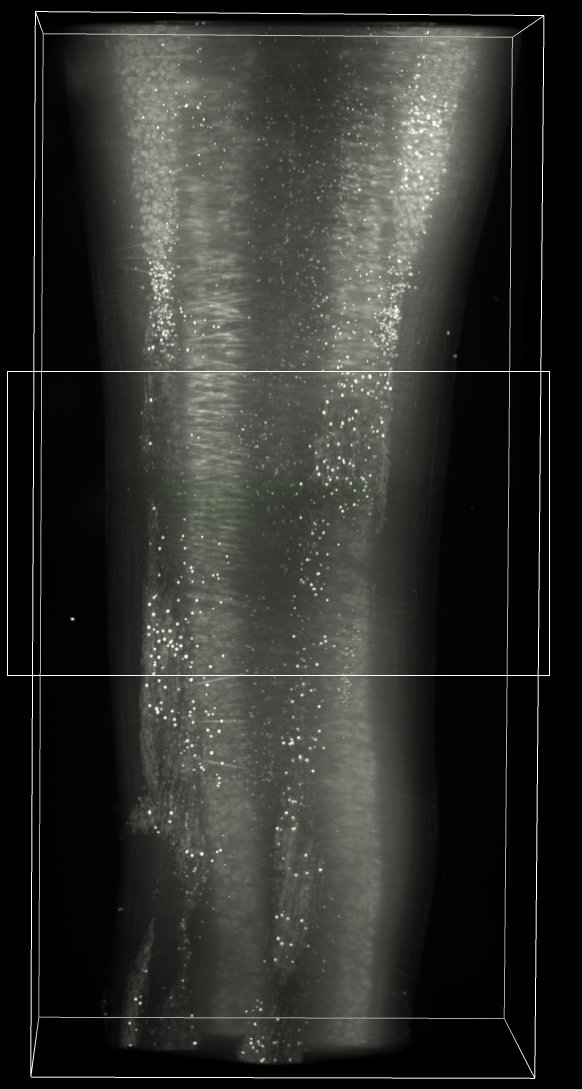 Flat-field correction in BigStitcher - Image Analysis - Image.sc Forum