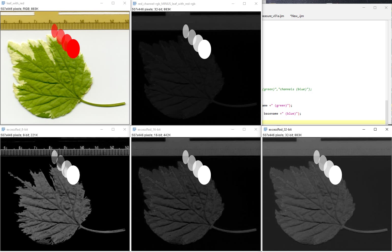 Extracting "red" from an RGB image (and quantify the "redness") - Image ...