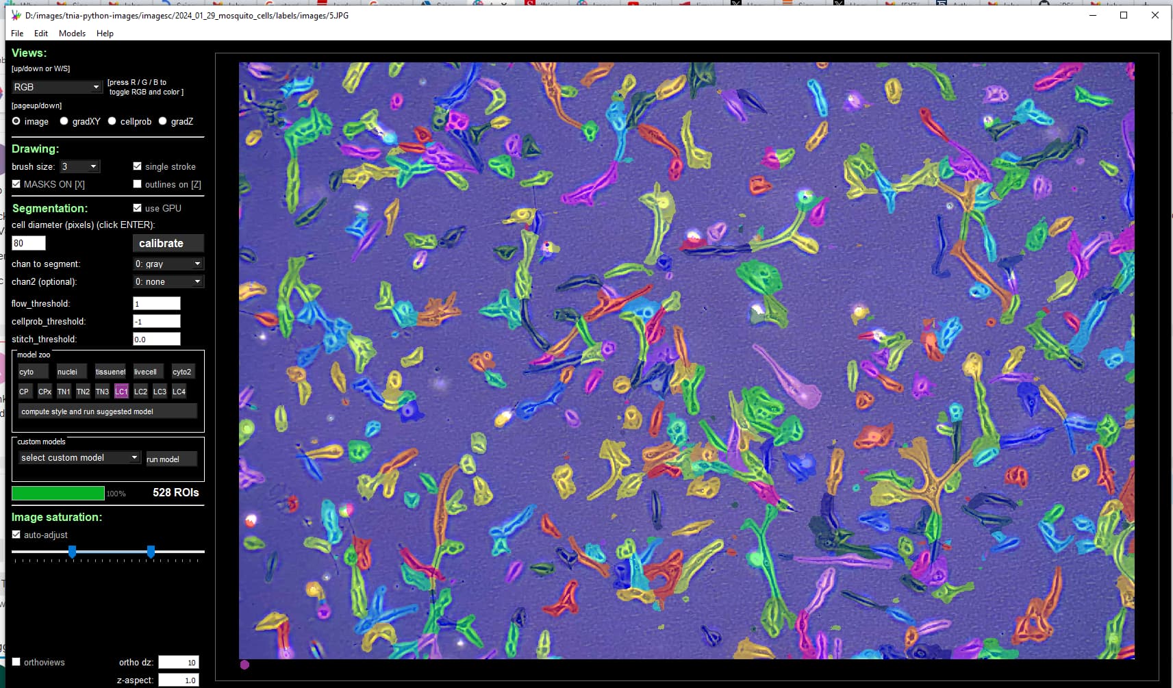 How to use Cellpose? (With Google Colab) - Image Analysis - Image.sc Forum