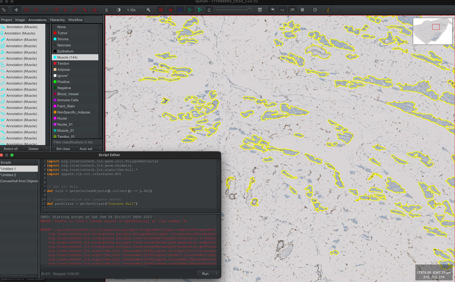 Qupath - script command to draw polygon annotation from points? - Image Analysis - Image.sc Forum