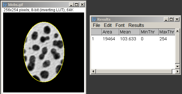 Fiji: automatically identify and measure area of an ROI for batch processing - Image Analysis ...