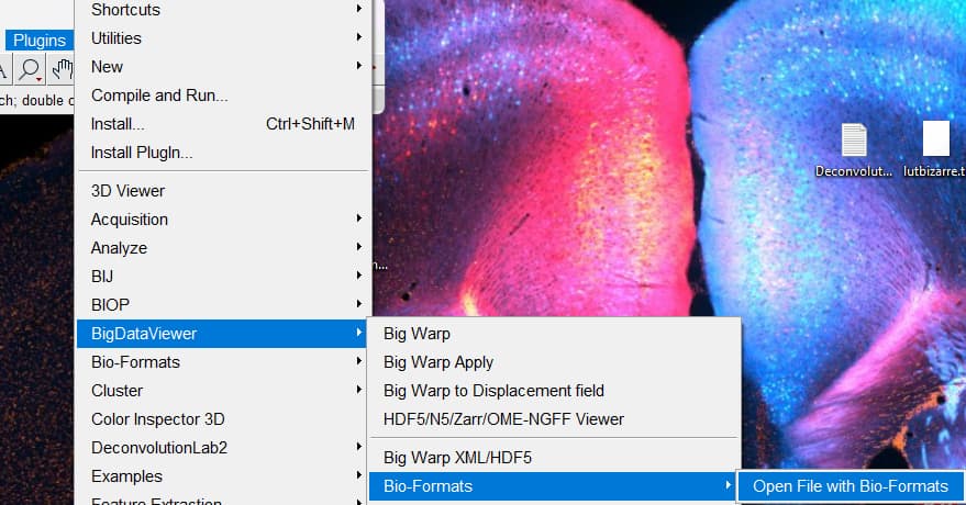 Recommendations for optimized visualization of large 3D images - Usage & Issues - Image.sc Forum