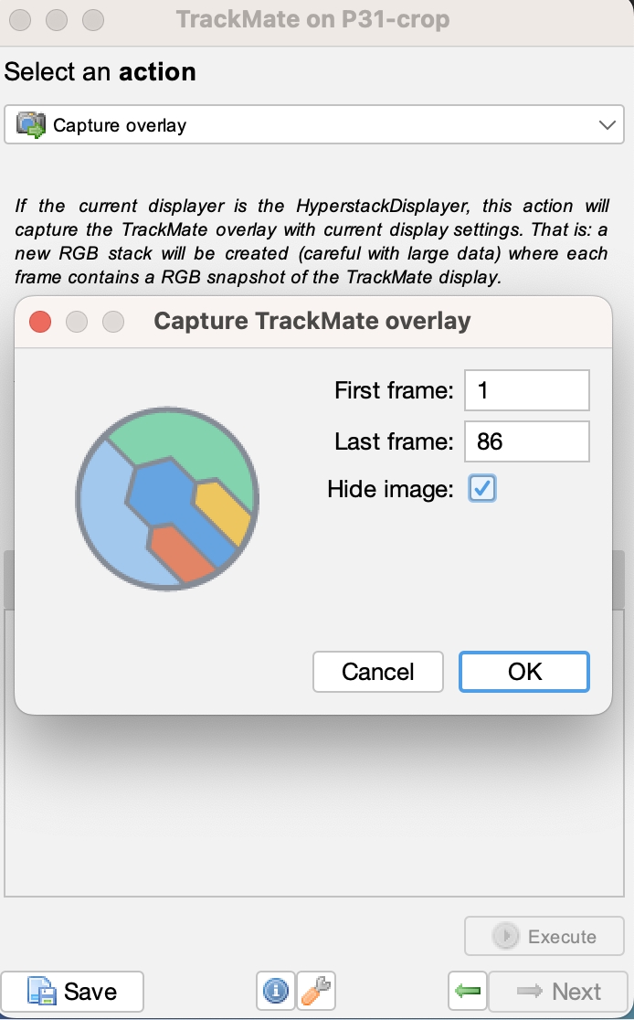 TrackMate Export Tracks to New Image - Image Analysis - Image.sc Forum