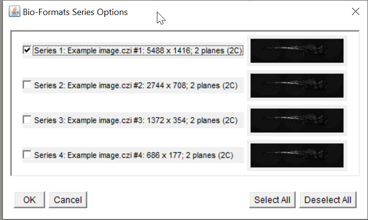 Czi Zeiss stack Conversion OME using BioFormats - Usage & Issues - Image.sc Forum