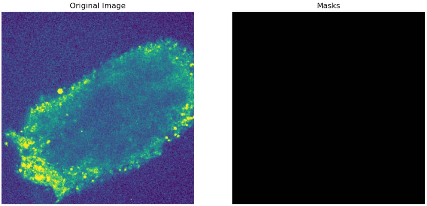 Cellpose failing to produce masks despite obvious flows and cellprobs ...