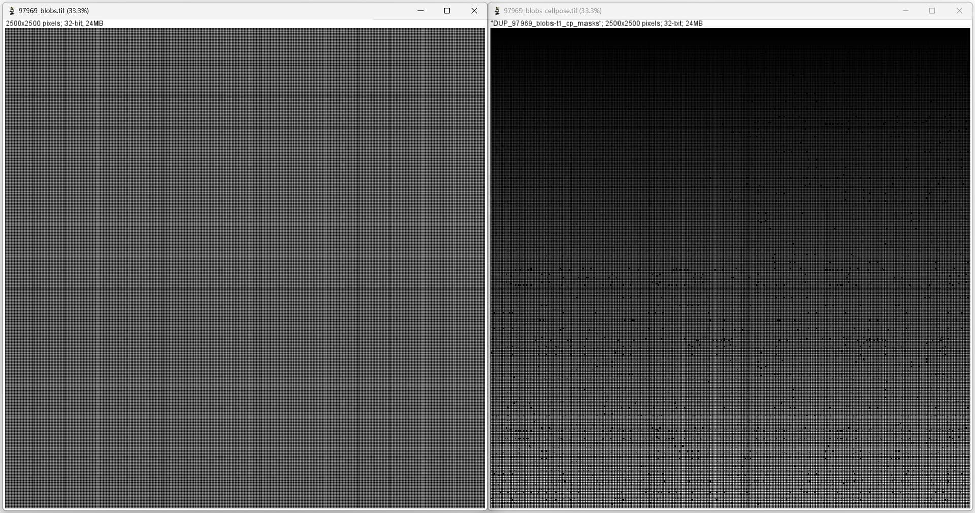 Cellpose Strange Objects Segmentation Usage And Issues Image Sc Forum