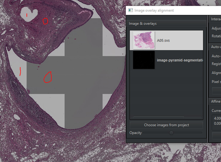 Rendering WSI as overlay on top of another WSI - Usage & Issues - Image ...