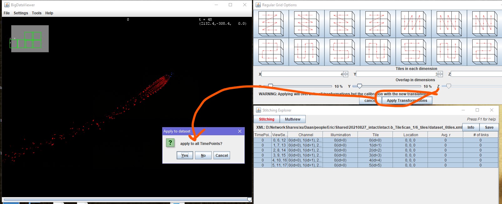 BigStitcher applying a manual tile transformation from one frame to all time points - Image ...