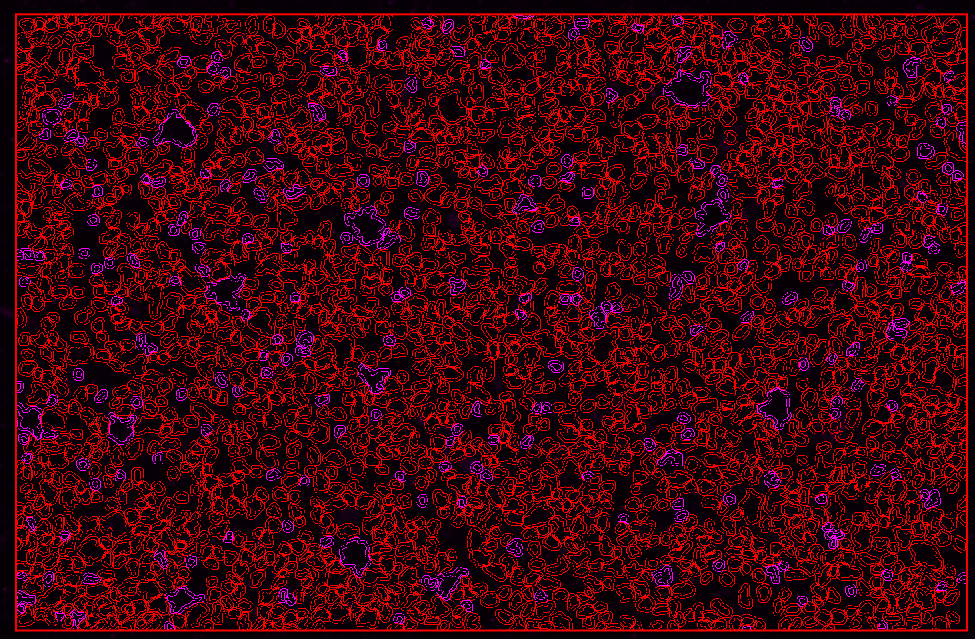 Trained Object Classifier Problem - Image Analysis - Image.sc Forum