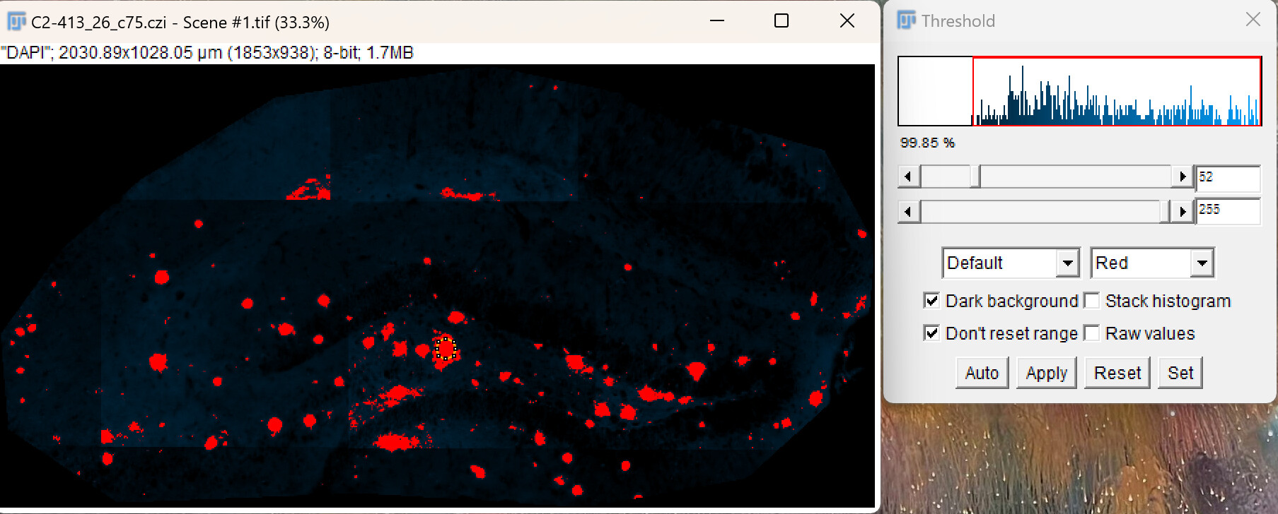 Exporting ROI from QuPath to ImageJ with raw Brightness/Contrast settings - Image Analysis ...