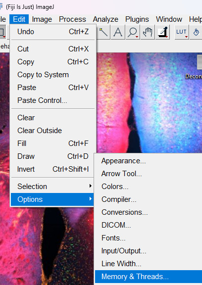Hardware requirement for using ABBA in Fiji on a Mac - Usage & Issues - Image.sc Forum