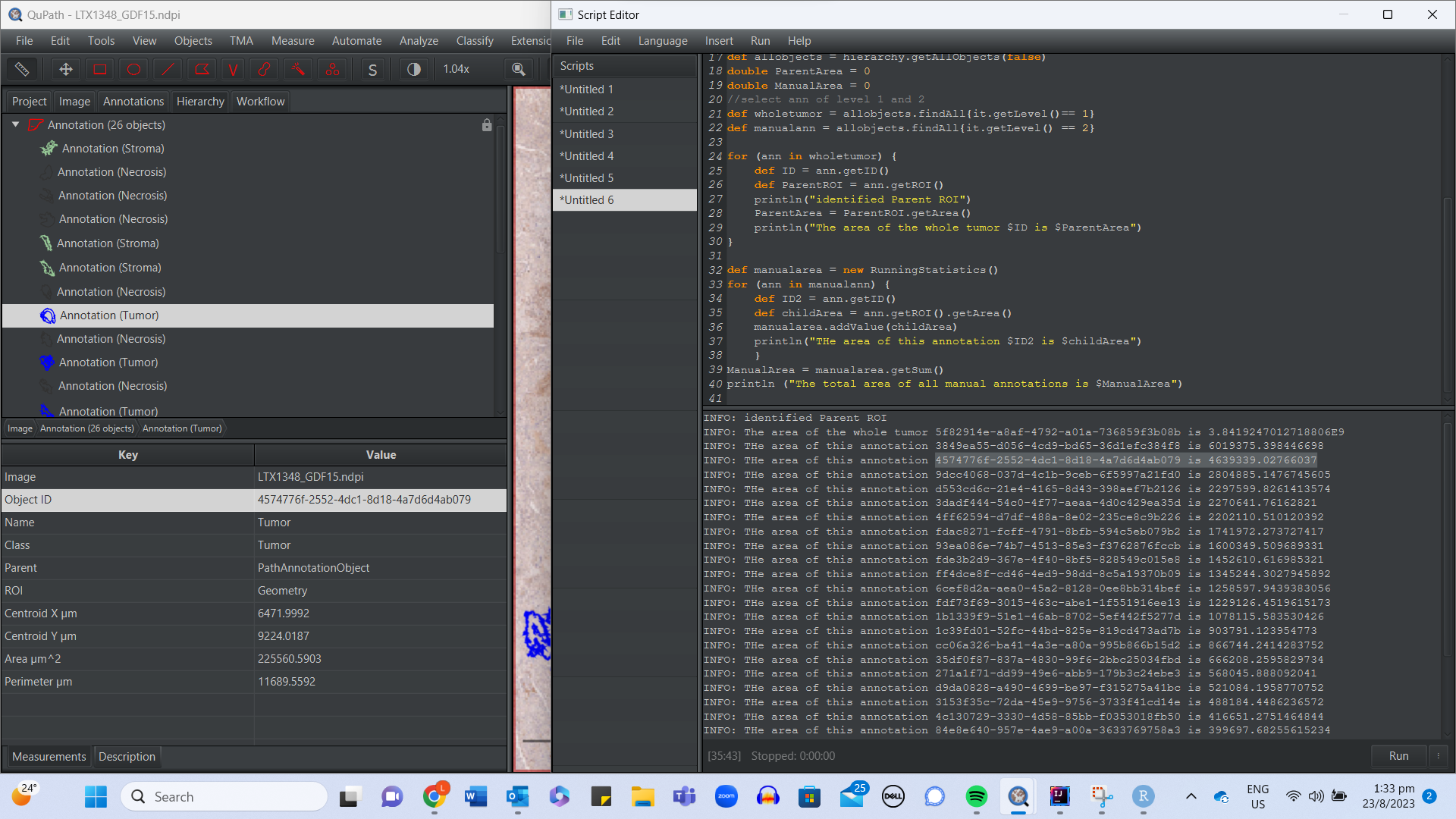 QuPath script error with hierarchy - Usage & Issues - Image.sc Forum