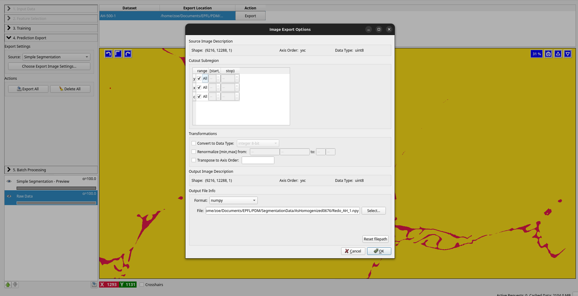 Issues exporting numpy file from pixel segmentation in ilastik - Usage & Issues - Image.sc Forum