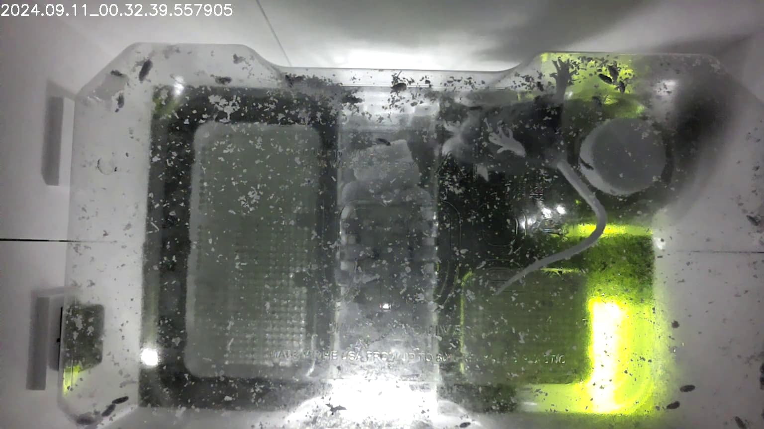 Geometryphysics Constraints For Pose Estimation In Partly Obscured Views Image Analysis