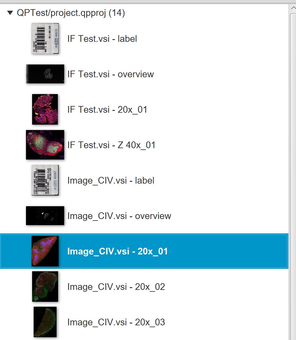 Can only adjust Brightness Contrast for one channel in 4-channel vsi file - Image Analysis ...