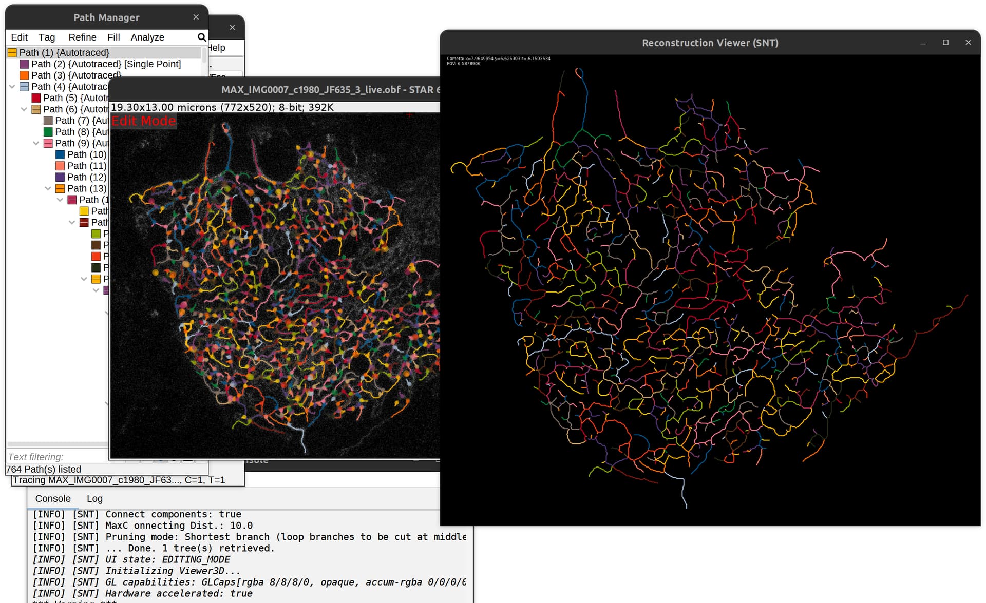 Strand network analysis: Automated reconstruction - Image Analysis - Image.sc Forum
