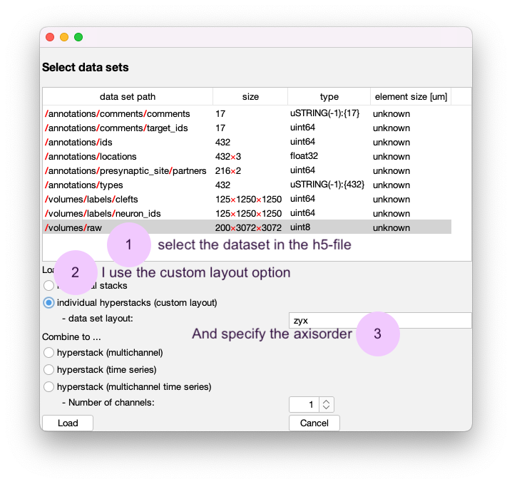 Imagej Element Size Error with H5 Matlab Written File - Usage & Issues - Image.sc Forum