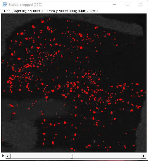 Counting particles and listing their dimensions - Image Analysis ...