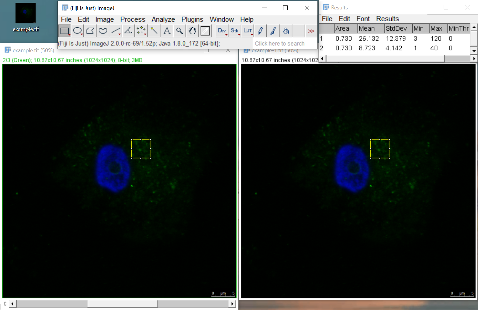 Imagej Measuring Fluorescence Intensity Fluorescence Analysis With