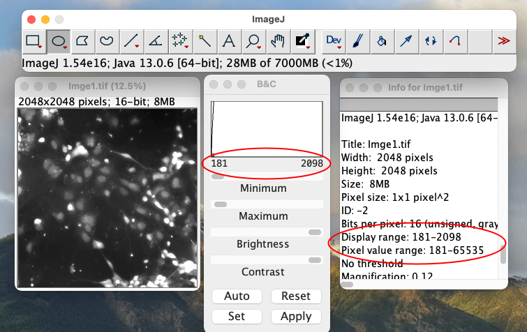 How to check where imagej is automatically altering brightness and contrast settings - Image ...