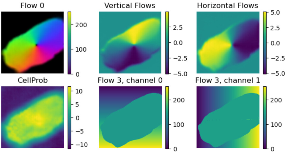 Cellpose failing to produce masks despite obvious flows and cellprobs ...