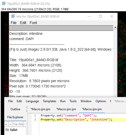How to write text description on TIF image header in ImageJ? - Development - Image.sc Forum