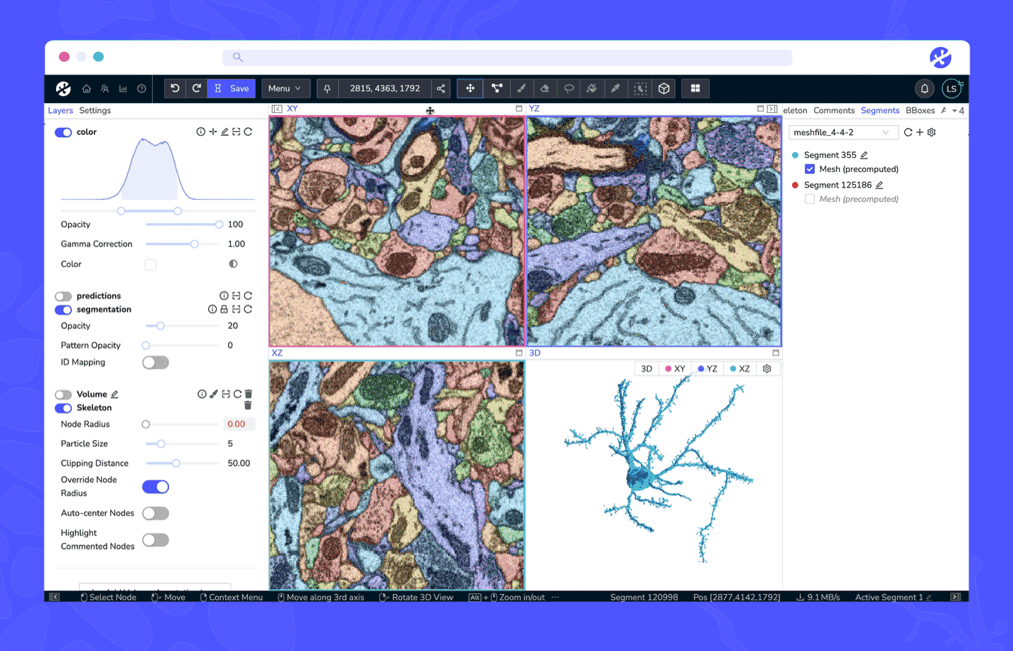 Tutorial: Data sharing with WEBKNOSSOS - Blog Posts - Image.sc Forum