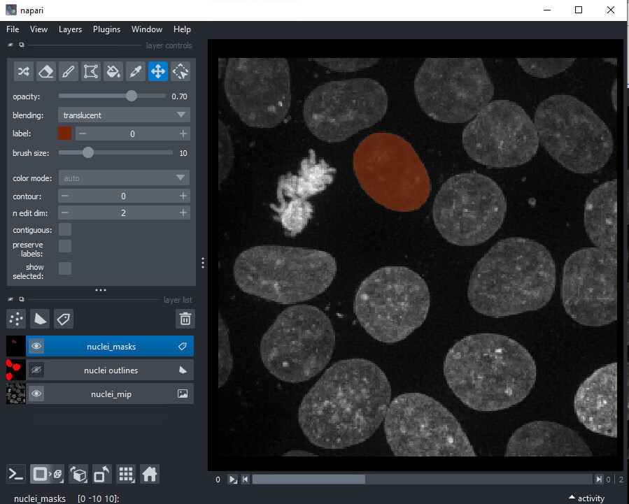Napari: how to create a binary mask from manually drawn shapes? - Image ...