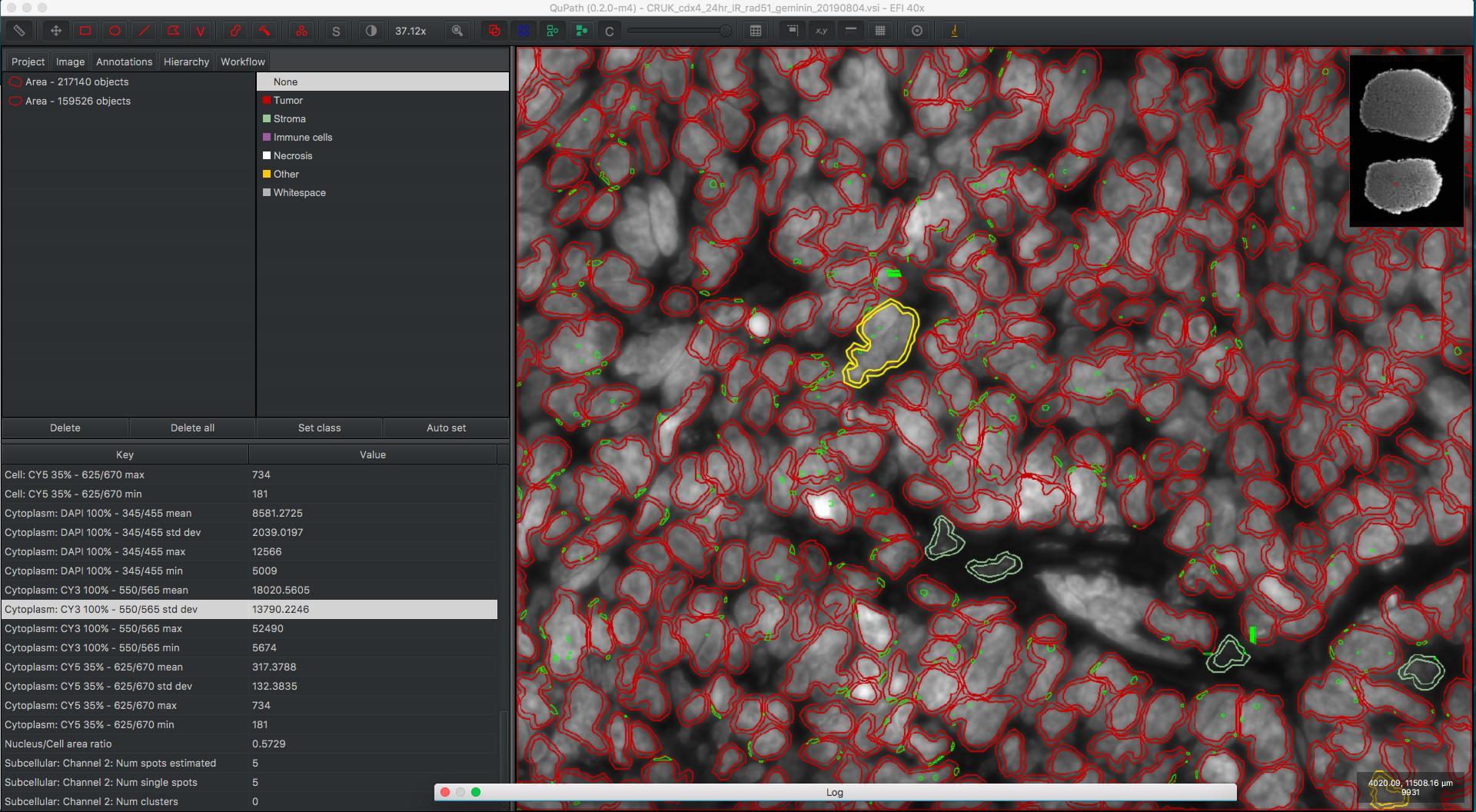 Help writing script with QuPath - Image Analysis - Image.sc Forum